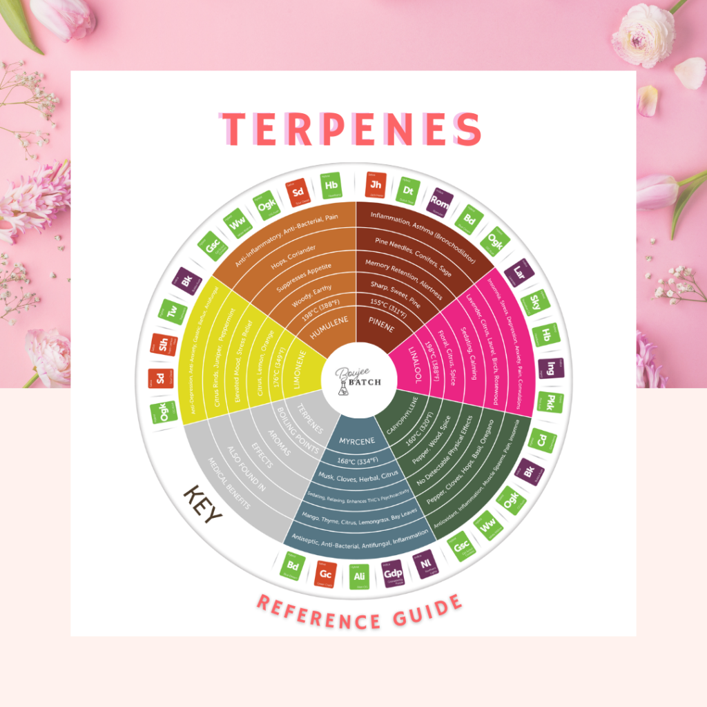 Why We Add Terpenes – Terpene Infused Herbal Remedies – Boujee Batch