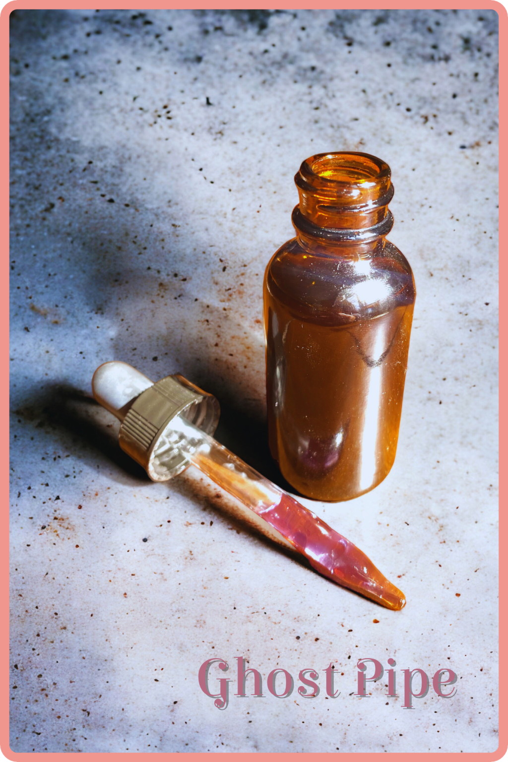 Ghost Pipe – A Spiritual Medicine – Terpene Infused Herbal Remedies ...